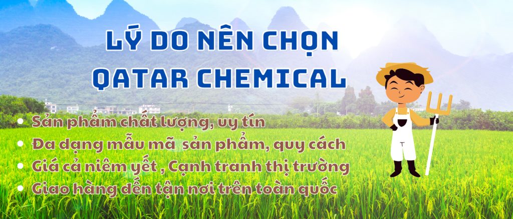 CÔNG TY CỔ PHẦN NÔNG NGHIỆP QATAR CHEMICAL